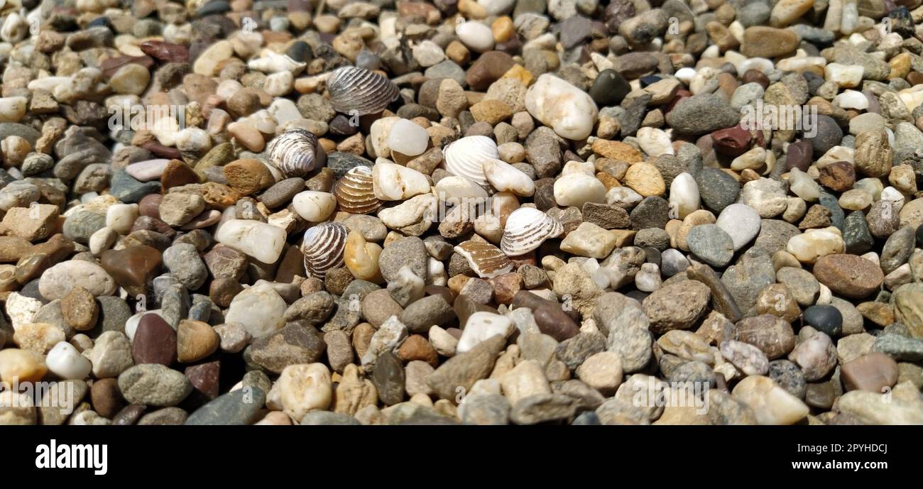 assorted colorful and smooth pebbles from the beach. Banner. Small and ...