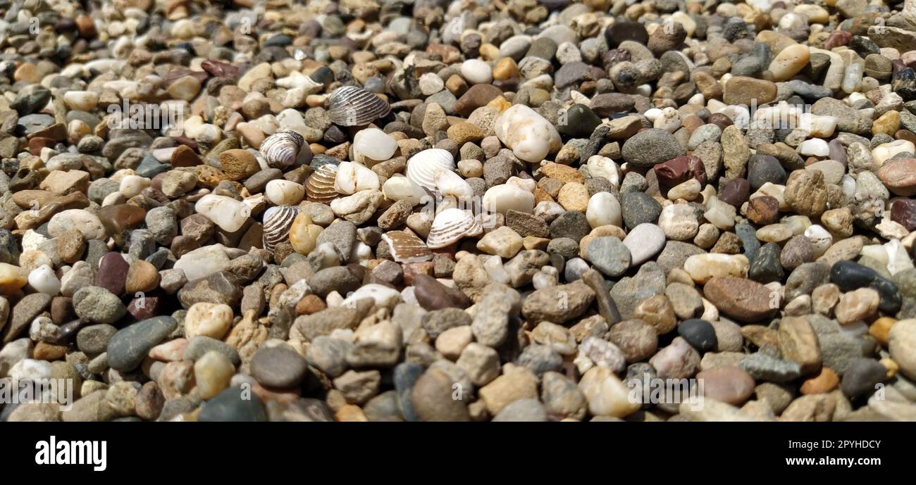 assorted colorful and smooth pebbles from the beach. Banner. Small and ...