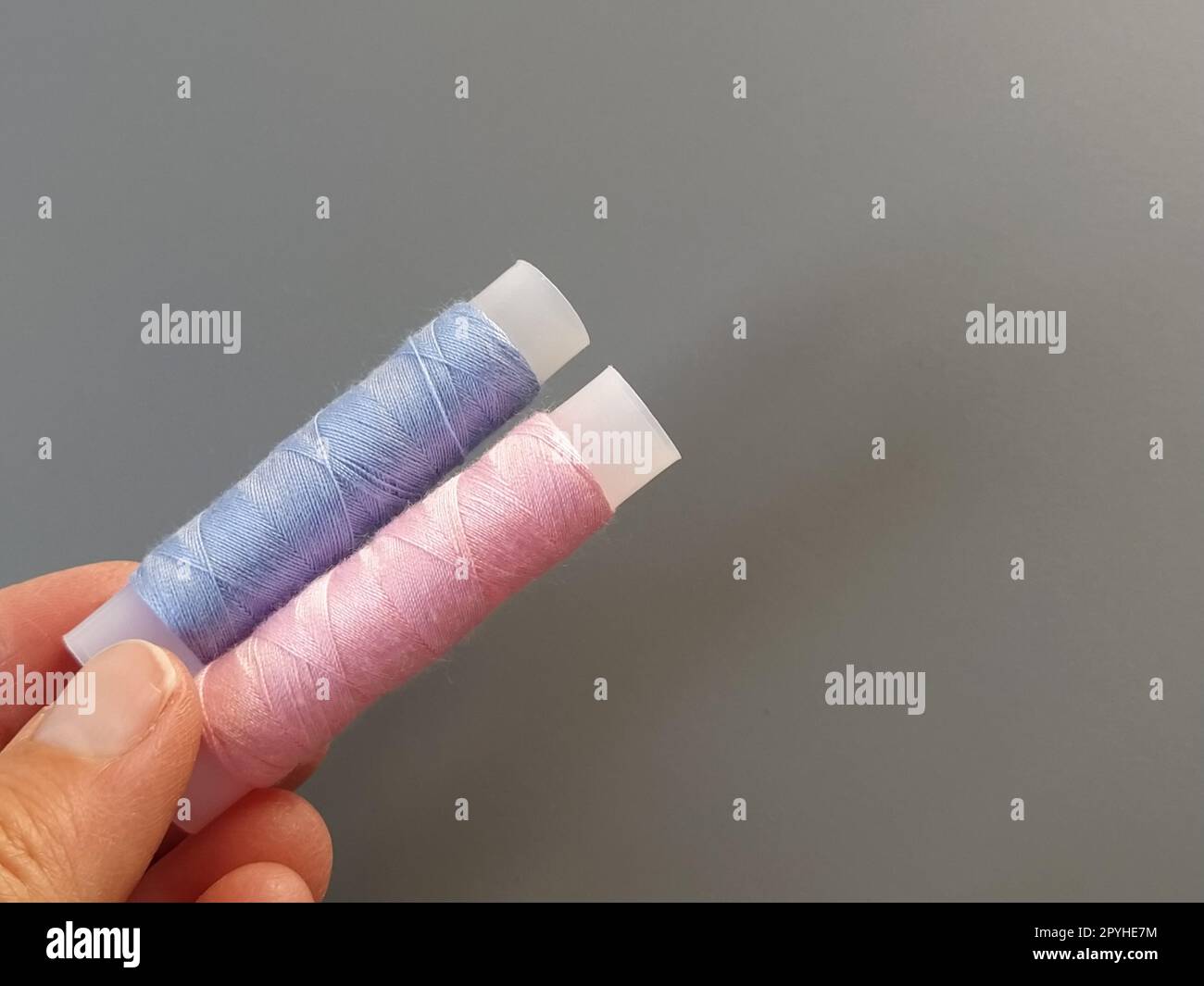 Spools of pink and blue thread on a woman's hand. Textile industry ...