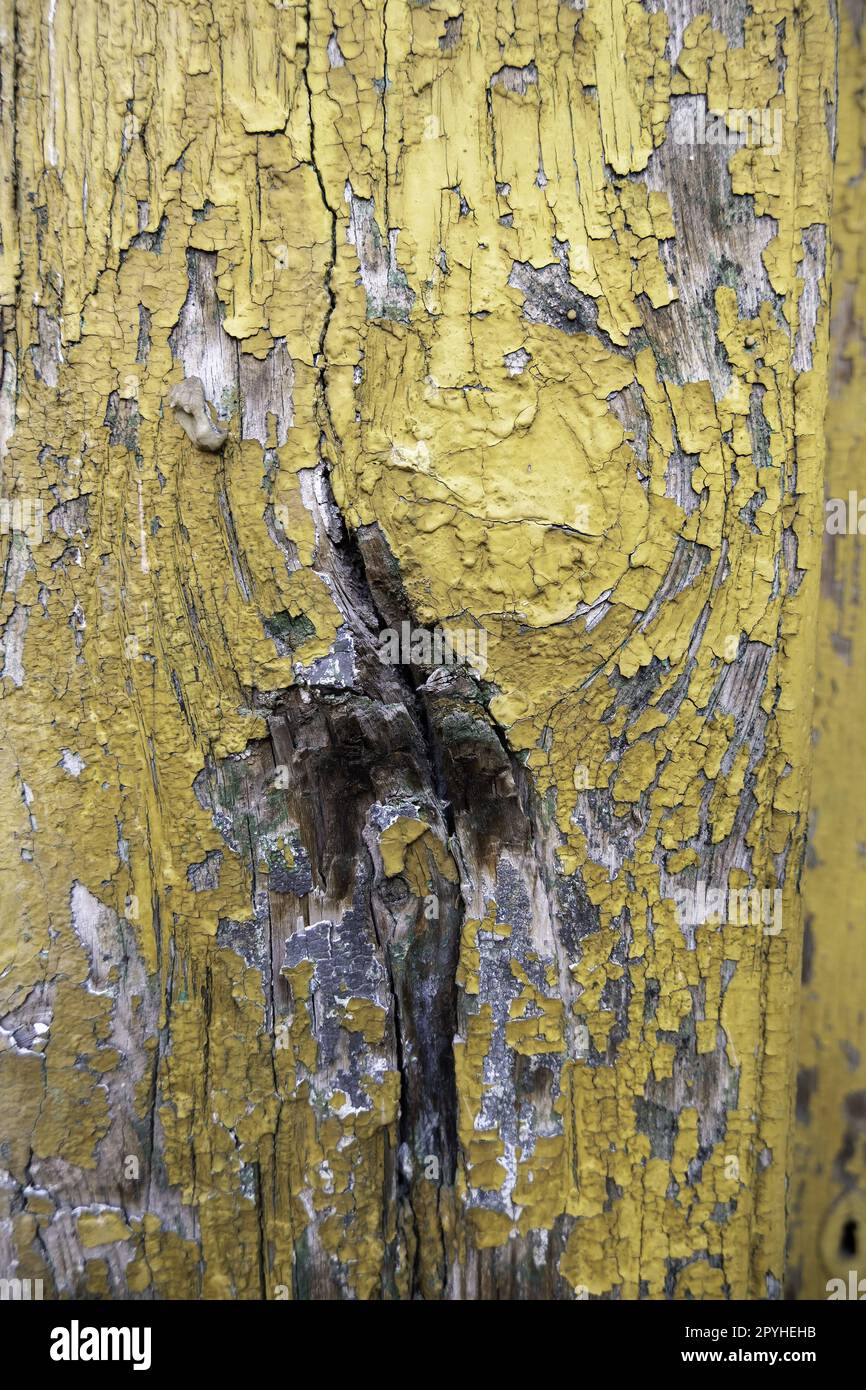 Old peeling wallpaper hi-res stock photography and images - Alamy Old peeling wallpaper hi-res stock photography and images - Alamy