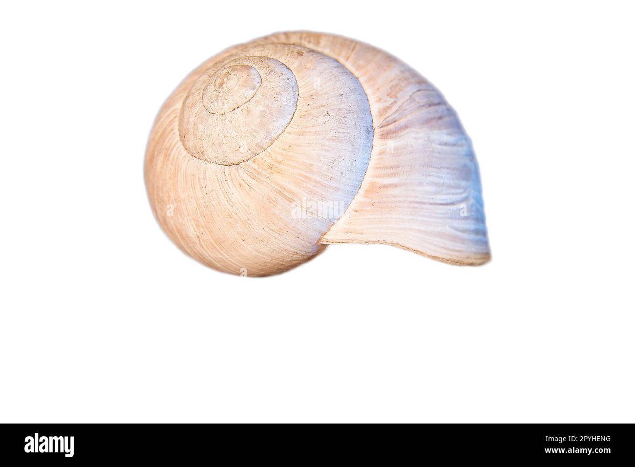 Exposed detail Cut Out Stock Images & Pictures - Alamy