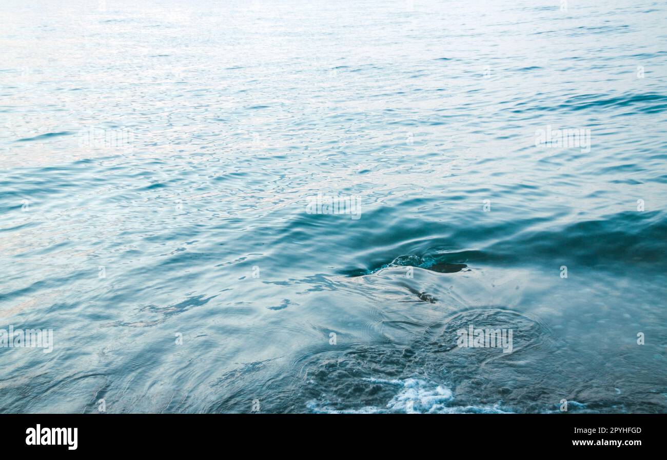 Closeup shot ocean wave hi-res stock photography and images - Alamy