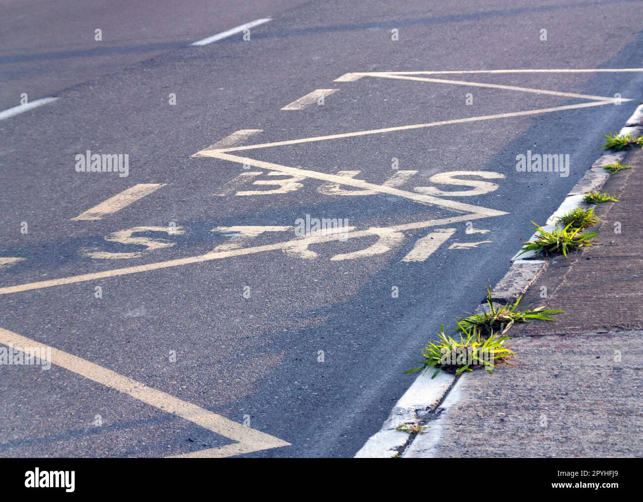 Bus stop sign closeup on the ground Stock Photo - Alamy