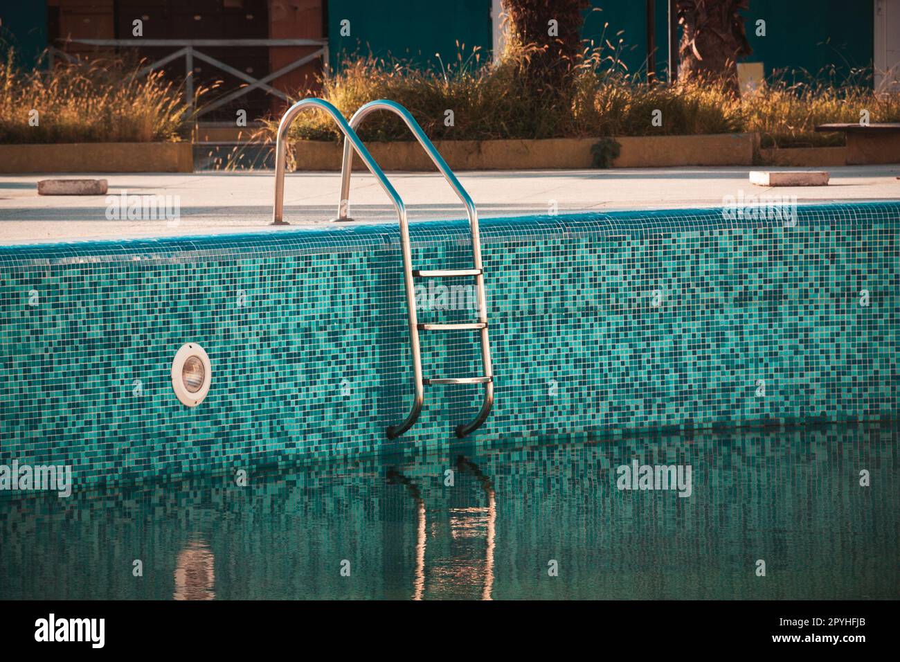 Swimming into view hi-res stock photography and images - Alamy