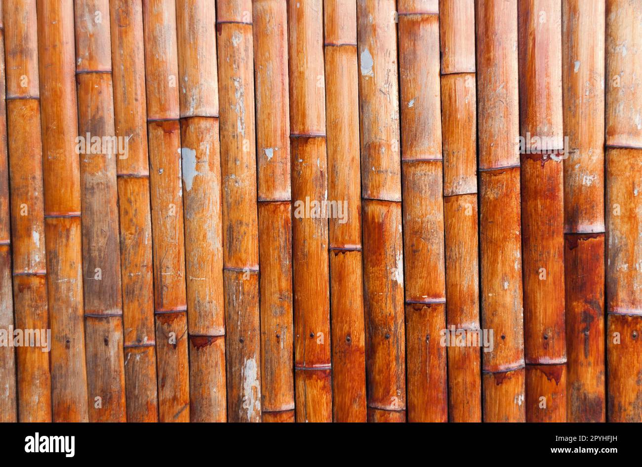 Bamboo closeup hi-res stock photography and images - Alamy