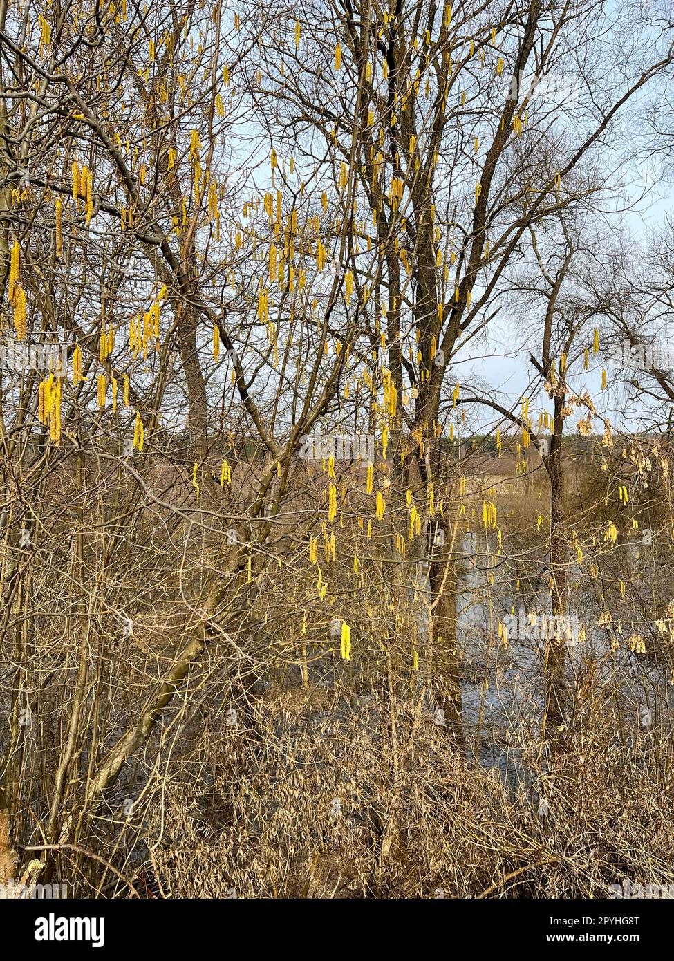 March river hi-res stock photography and images - Alamy