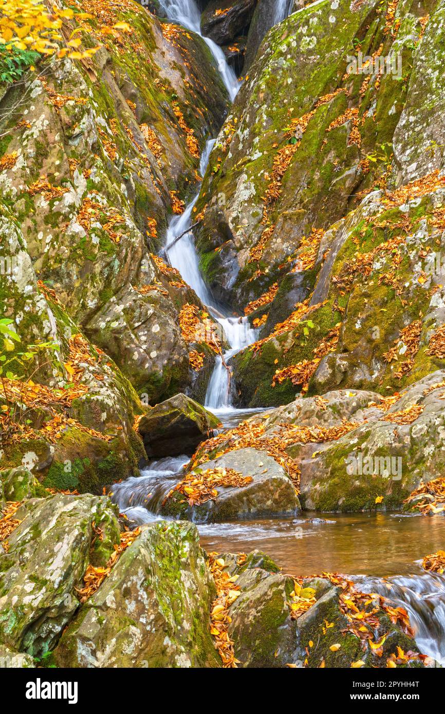 Quiet Stream Running Amongst the Rocks Stock Photo - Alamy