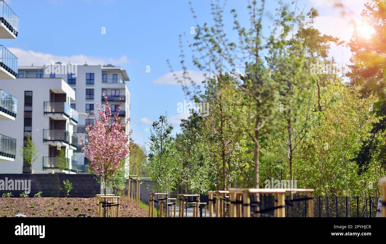 Ecology and green living in city, urban environment concept. Modern ...