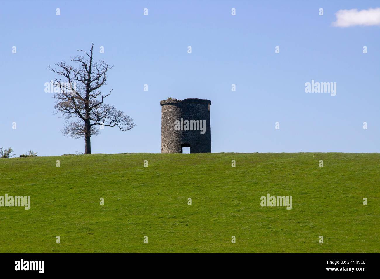An ancient round tower with an old trees in winter silhouette beside it ...