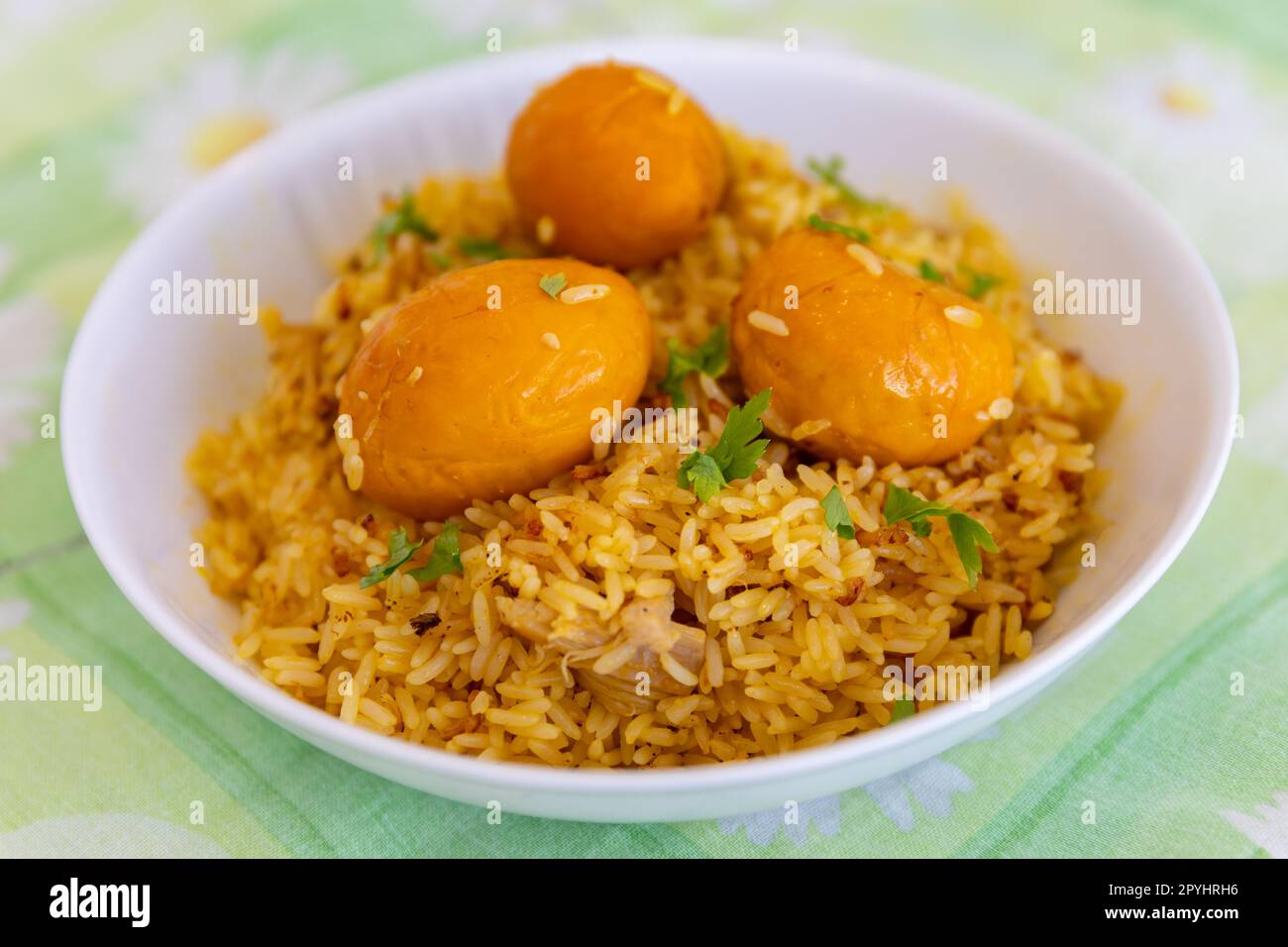 Traditional recipe for rice with chicken and pequi (caryocar ...
