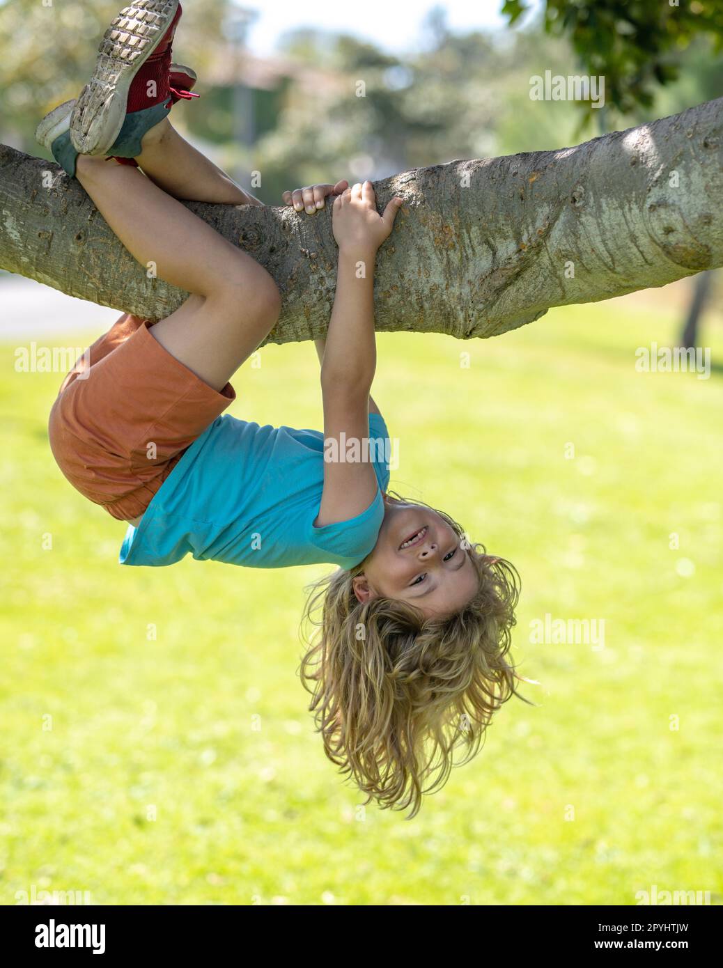 Child climbing a tree. Happy young boy play in summer garden. Kid on a ...