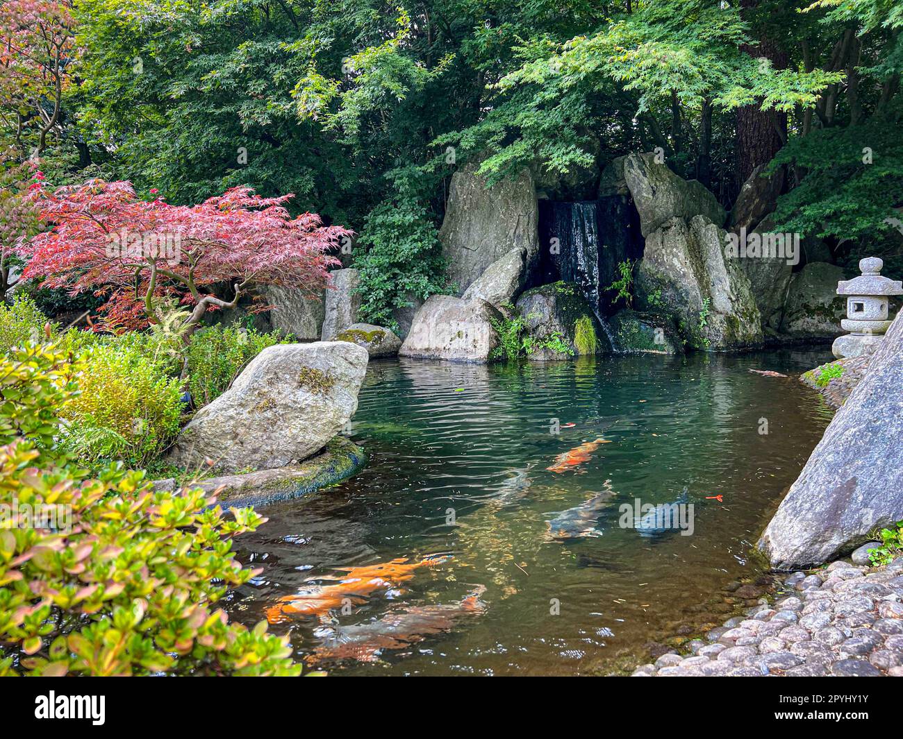 Different fishes hi-res stock photography and images - Alamy