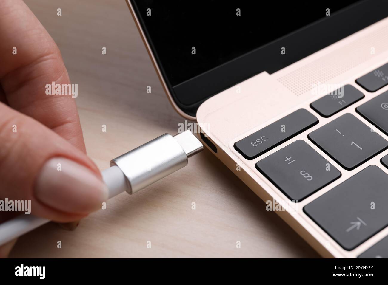 Woman plugging USB cable with type C connector into laptop port on ...