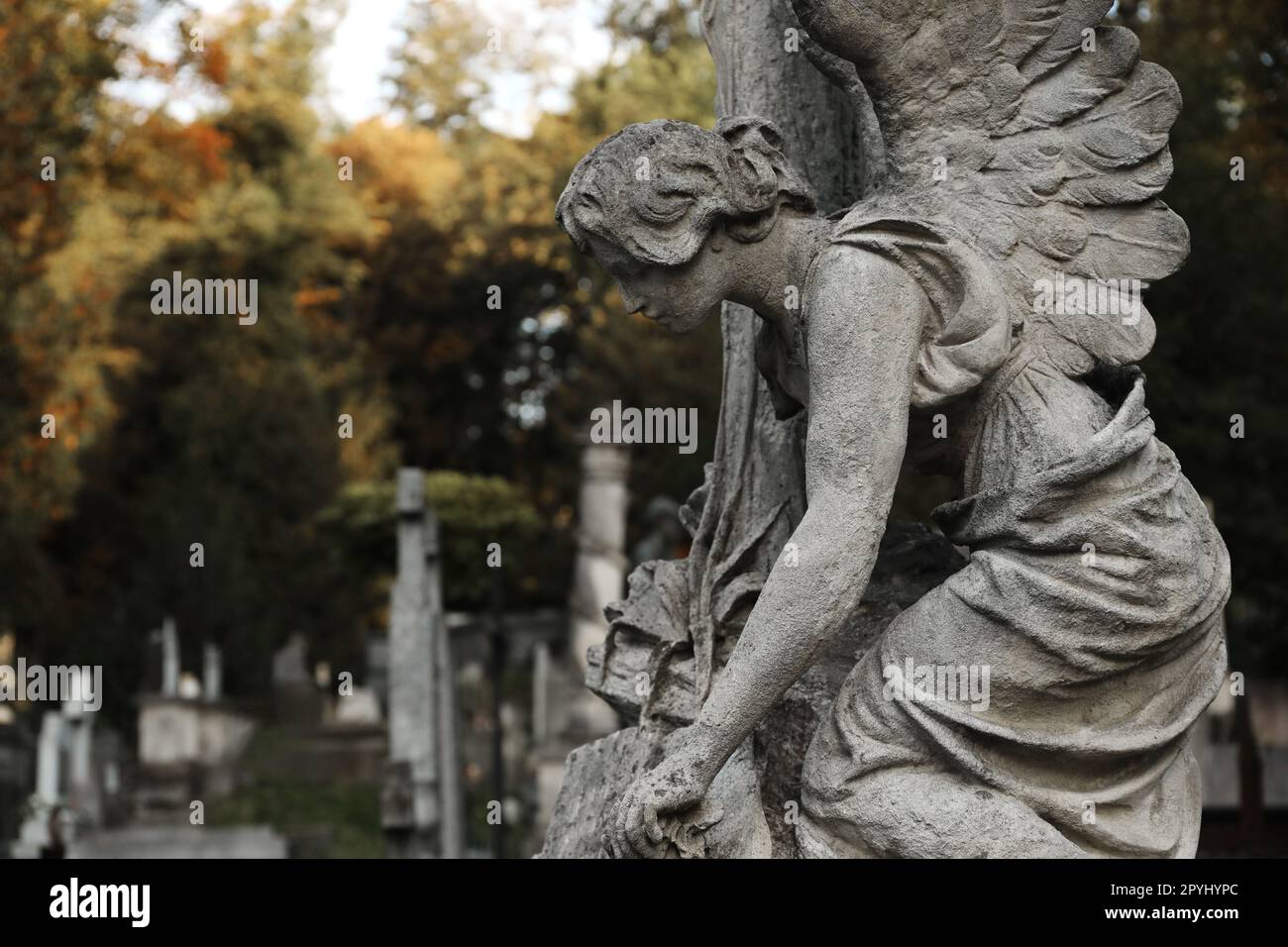 Beautiful statue of angel at cemetery, space for text. Funeral ceremony ...