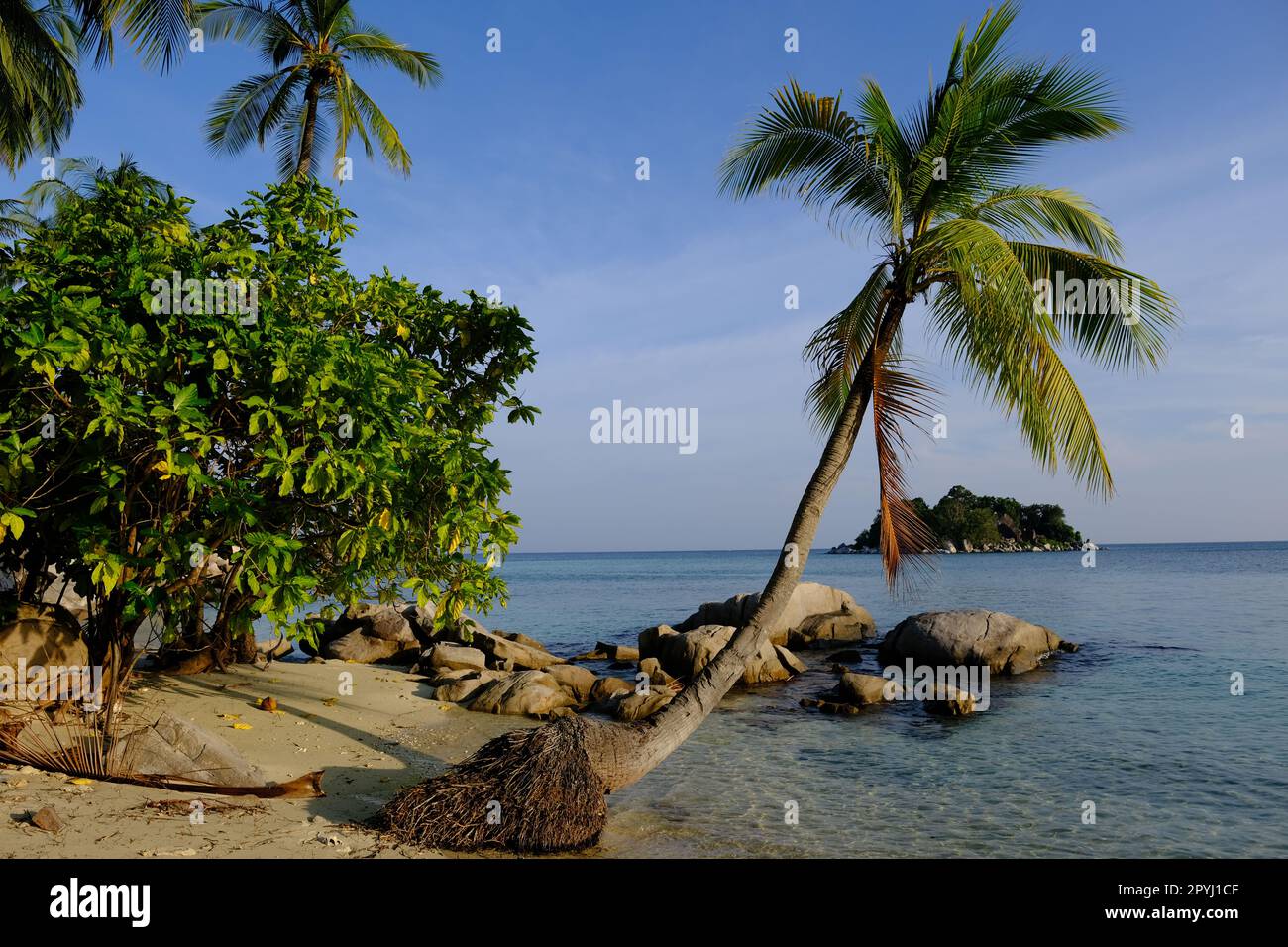 Indonesia Anambas Islands - Telaga Island coast with rocks and palm ...