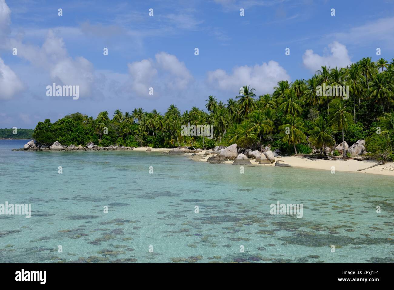 Seascape palm beach trees top hi-res stock photography and images - Alamy
