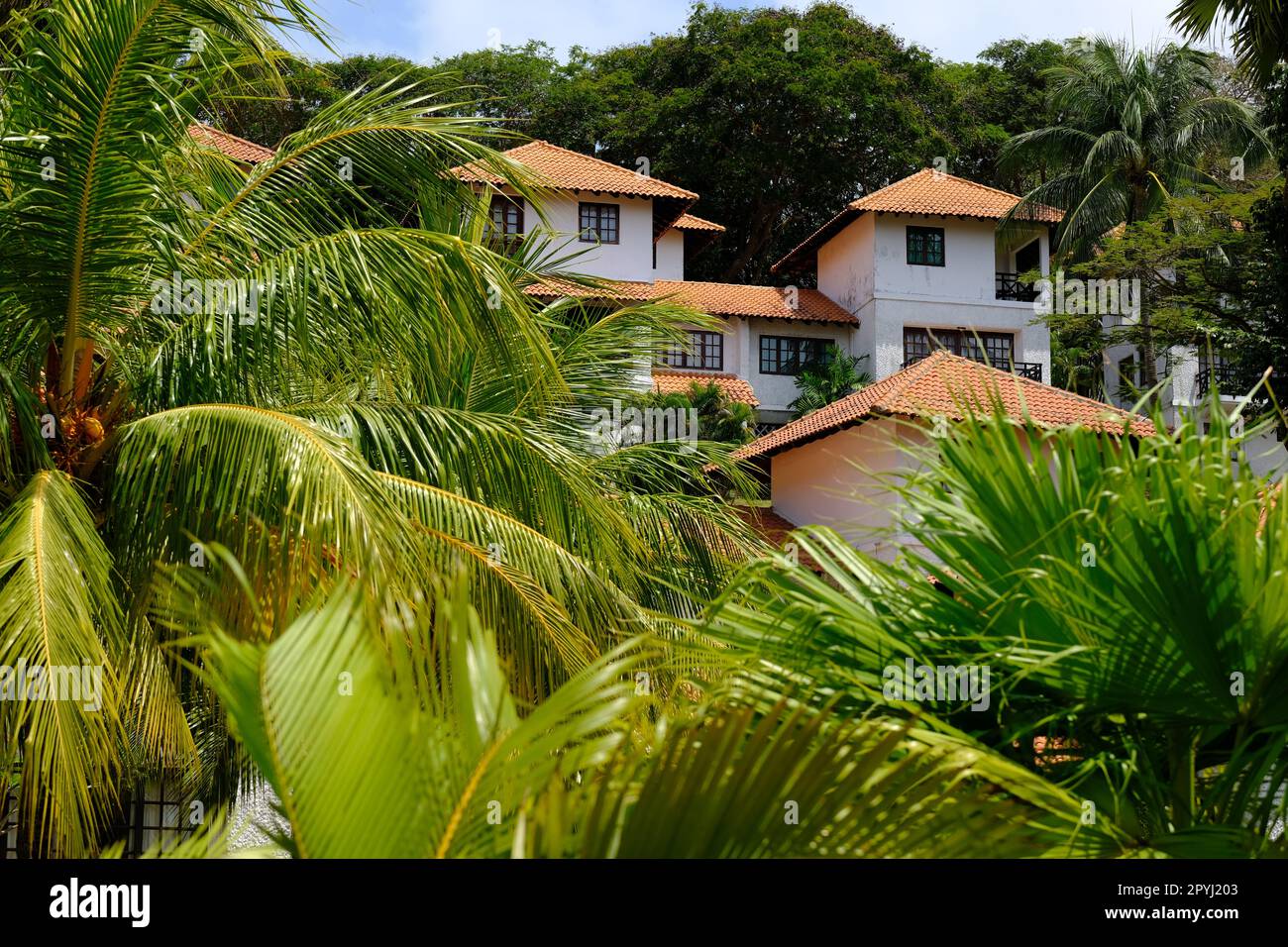 Indonesia Batam - Houses in Nongsa Point Marina & Resort Stock Photo ...