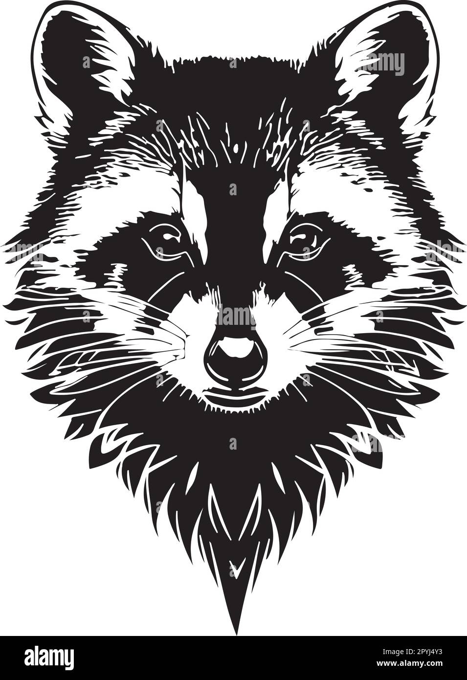 Raccoon Line Art