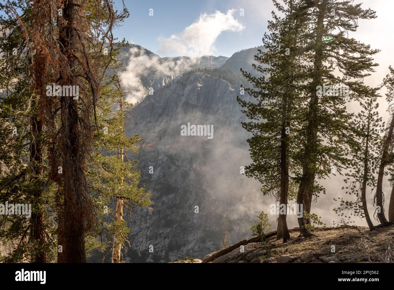 Pine Trees Looks Out Over Wisps Of Low Hanging Clouds At The Watchtower ...