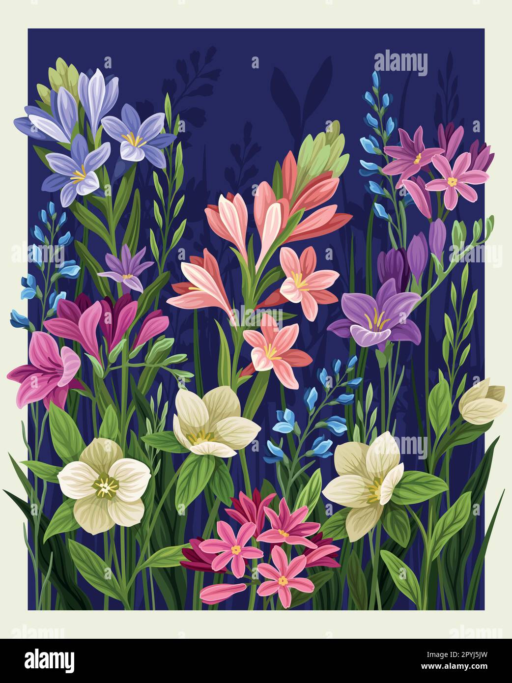Botanical color print Stock Vector Image & Art - Alamy