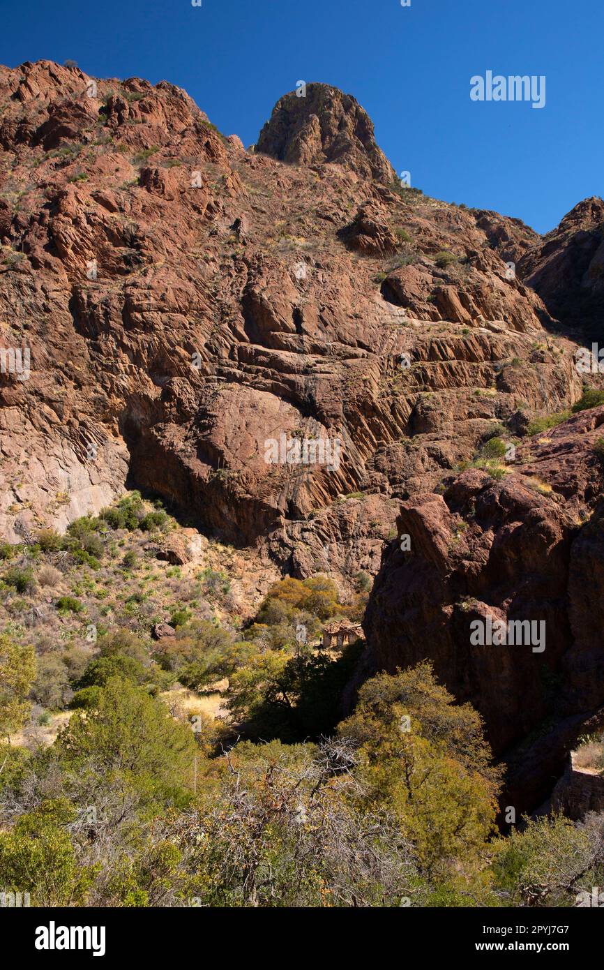 Canyon forest from Dripping Springs Trail, Dripping Springs Natural ...