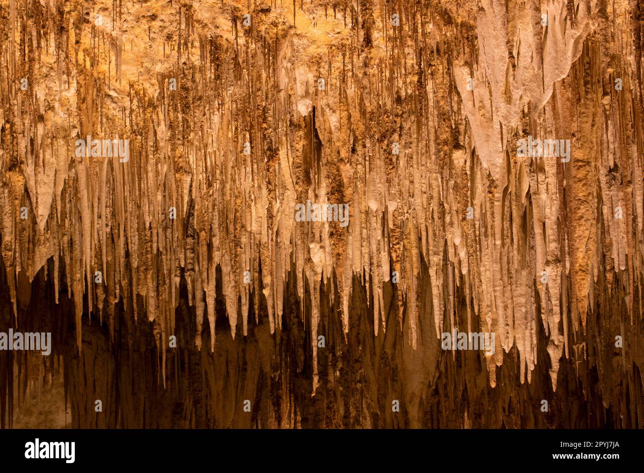 Cave formations, Carlsbad Caverns National Park, New Mexico Stock Photo ...