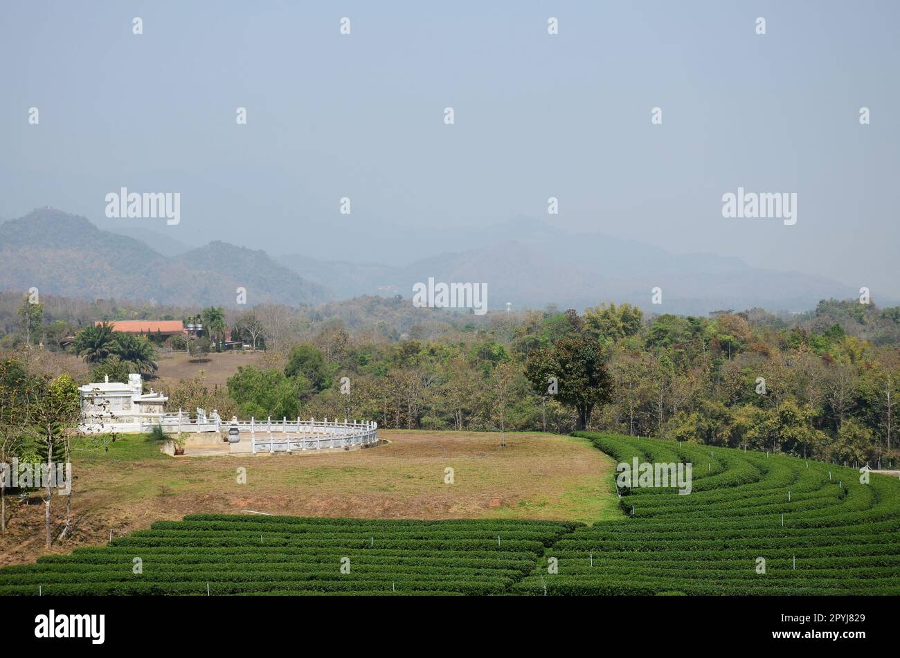 View landscape rural countryside and farmland garden park on mountain ...