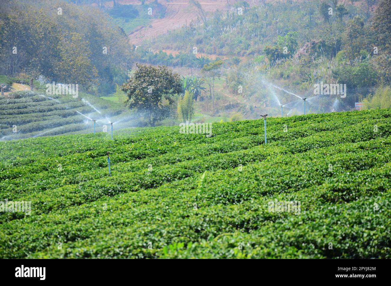View landscape rural countryside and farmland garden park on mountain ...