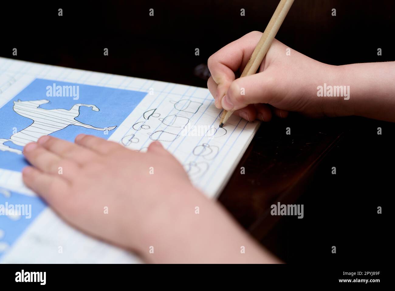 young girl is practicing drawing Stock Photo - Alamy