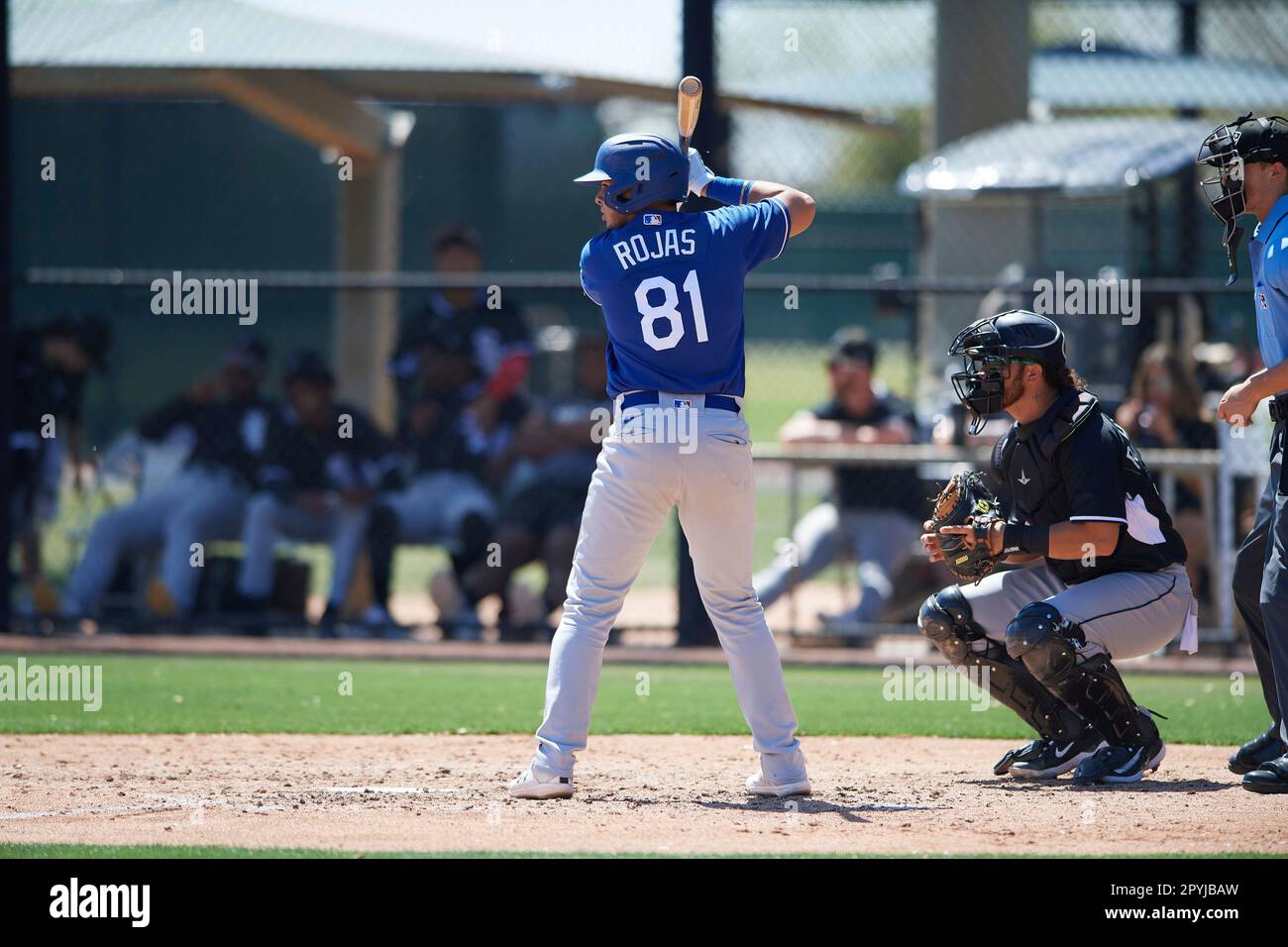 Carlos Rojas (81) of the Los Angeles Dodgers during an Extended Spring ...