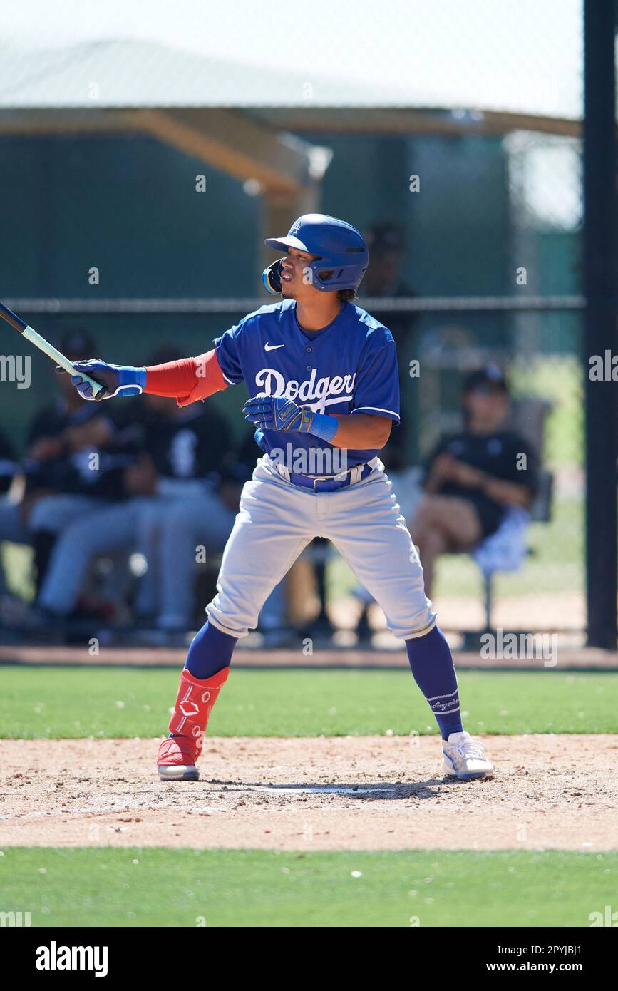 Javier Armas (56) of the Los Angeles Dodgers during an Extended Spring ...
