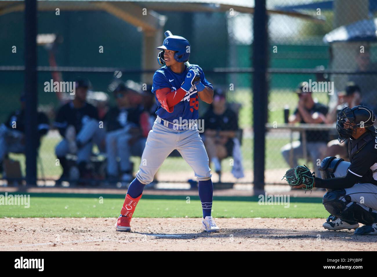 Javier Armas (56) of the Los Angeles Dodgers during an Extended Spring ...