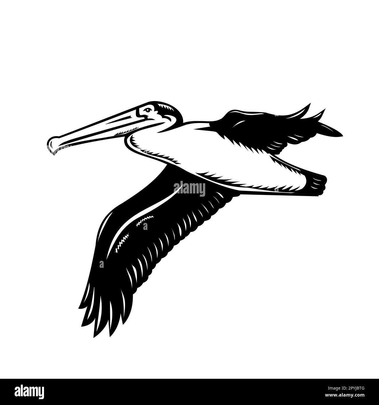 Black and white print on etching engraving Cut Out Stock Images ...