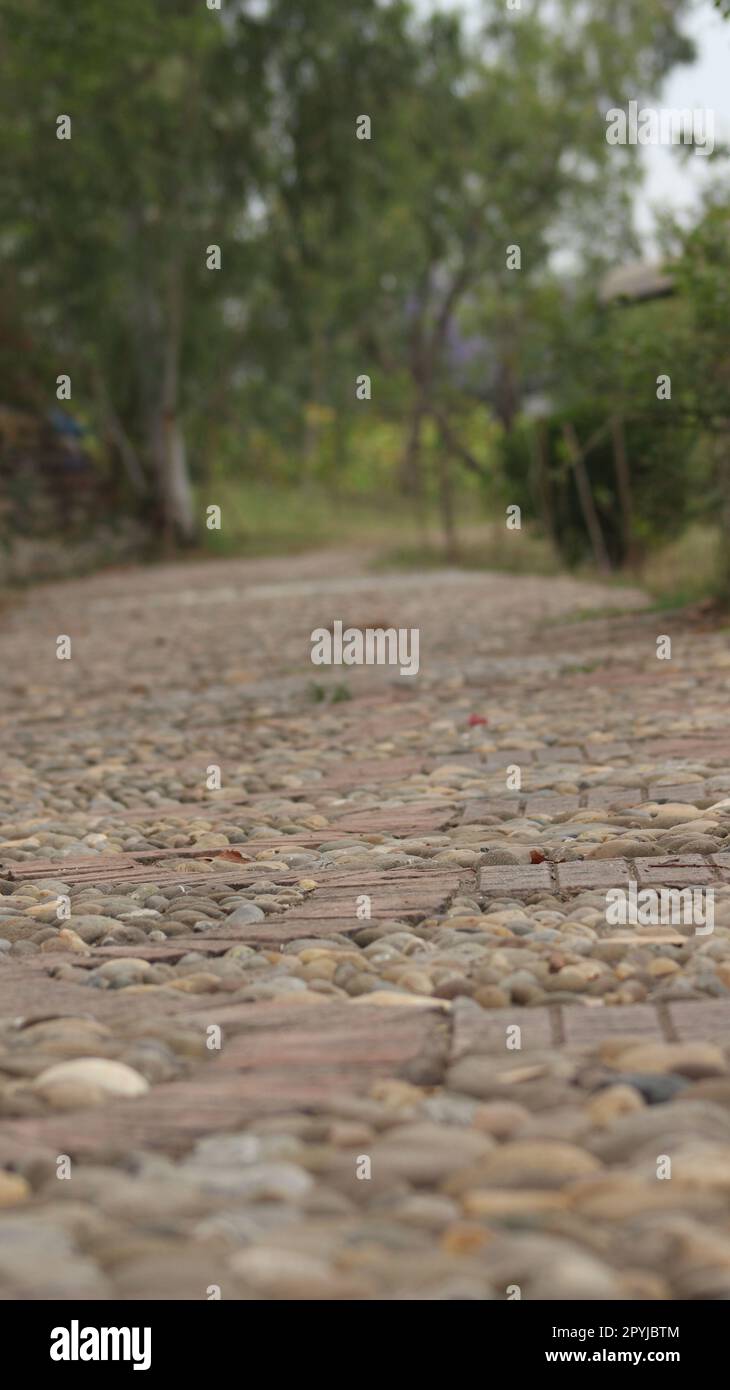 Ancient pebbled street walking path Stock Photo - Alamy