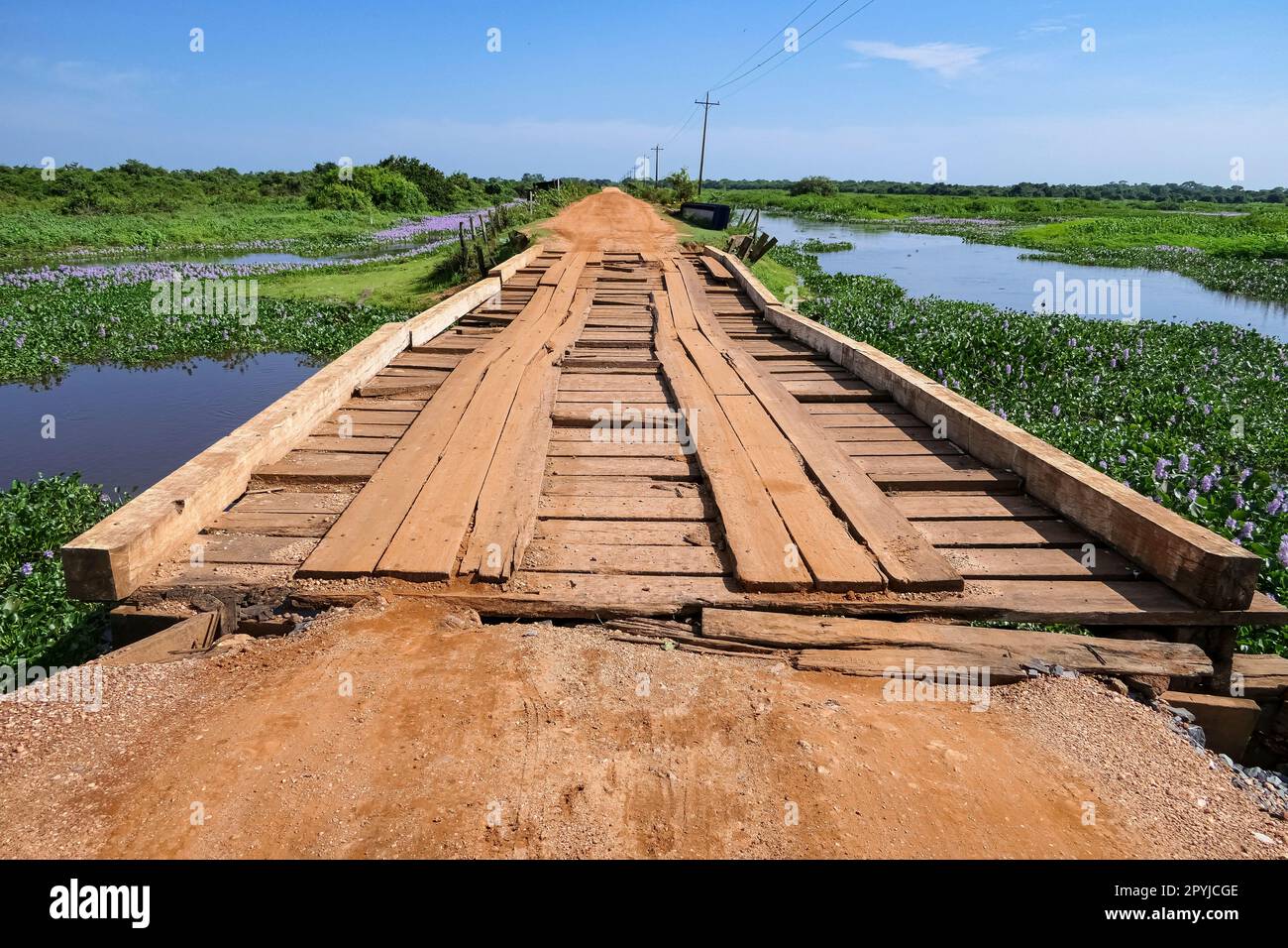Typical wooden bridge on Tranpantaneira road in North Pantanal Wetlands ...