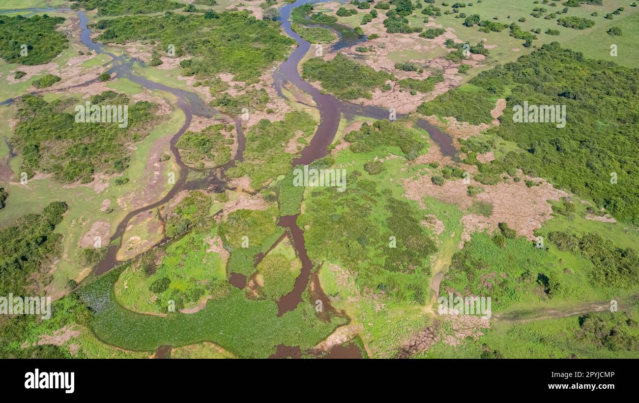 Aerial shot of typical Pantanal Wetlands landscape with lagoons, forest ...