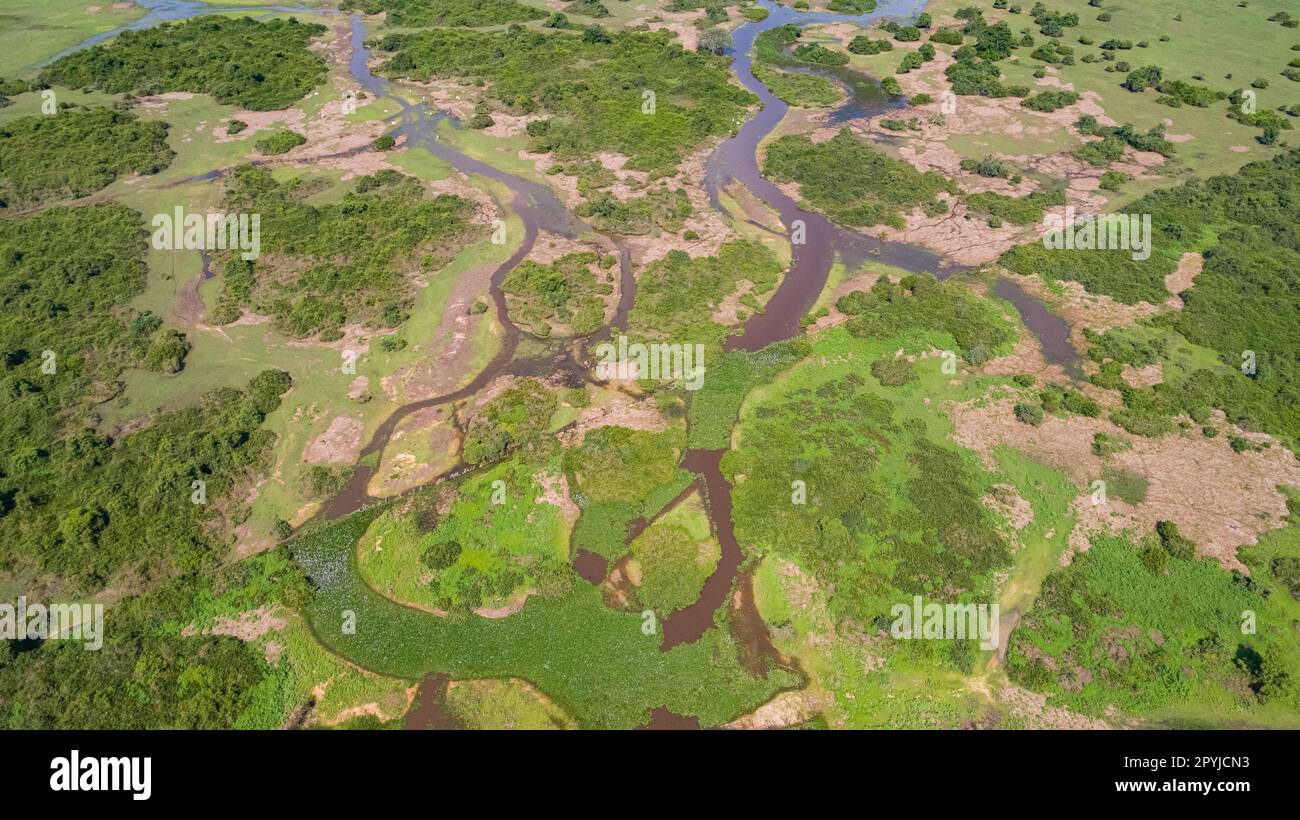 Aerial shot of typical Pantanal Wetlands landscape with lagoons, forest ...