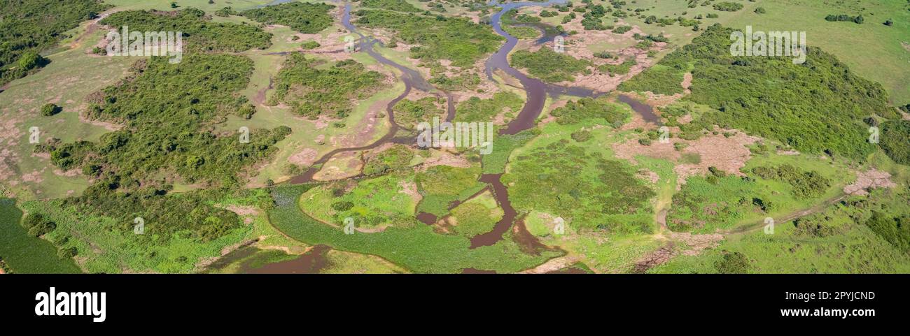 Aerial shot panorama of typical Pantanal Wetlands landscape with ...