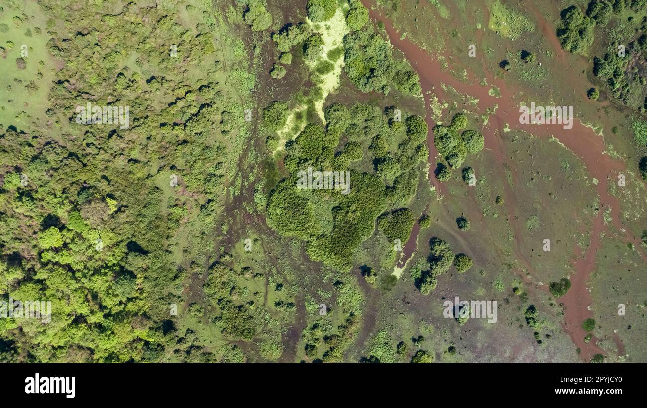 Aerial shot of Pantanal landscape with lagoons, forest, meadows, river ...