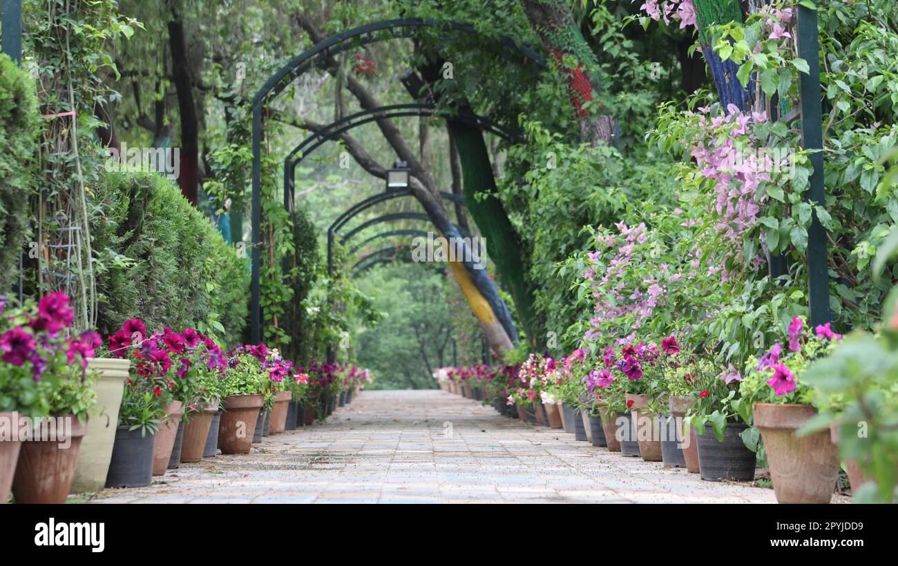landscape of flowers garden in a park Stock Photo - Alamy