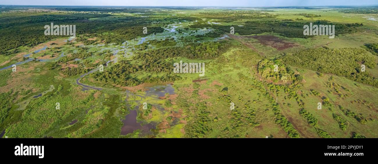 Panoramic aerial shot of typical Pantanal Wetlands landscape with ...