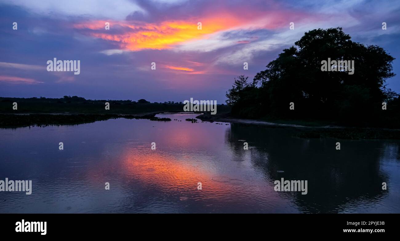 Brazil pantanal sunset water hi-res stock photography and images - Alamy