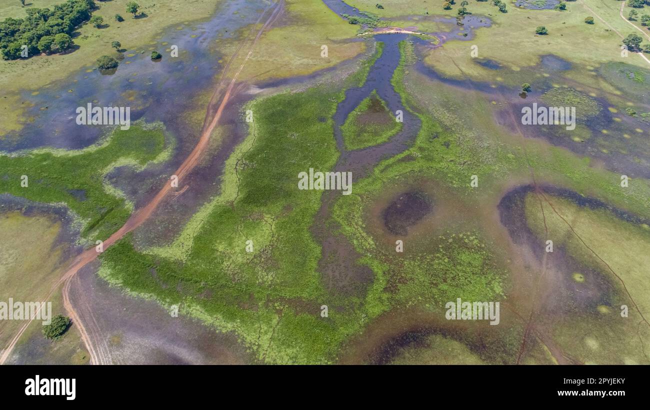 Amazing aerial view of typical Pantanal wetlands landscape crossed by ...