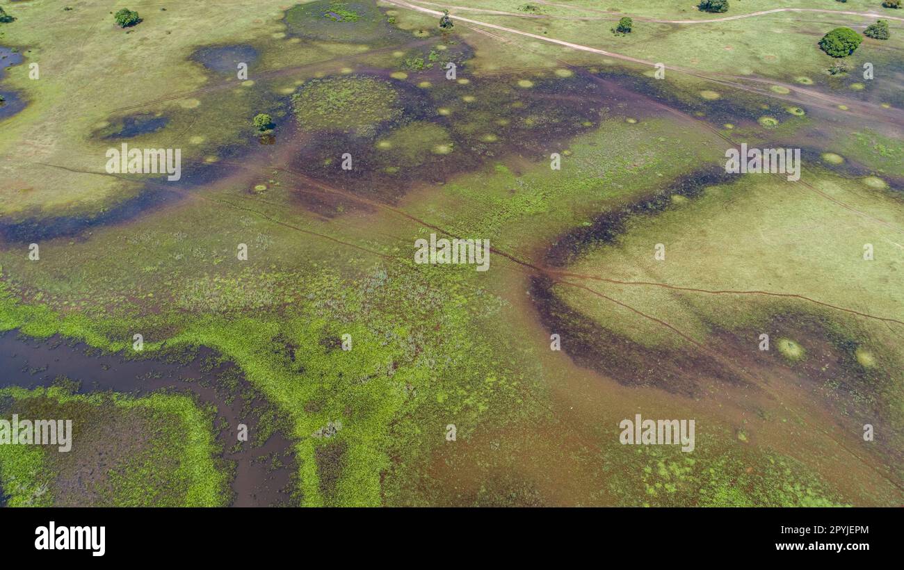 Amazing aerial view of typical Pantanal wetlands landscape with lagoons ...
