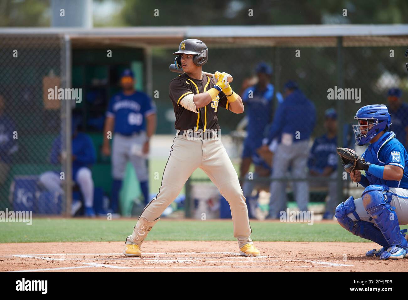 Ethan Salas (44) of the San Diego Padres during an Extended Spring ...