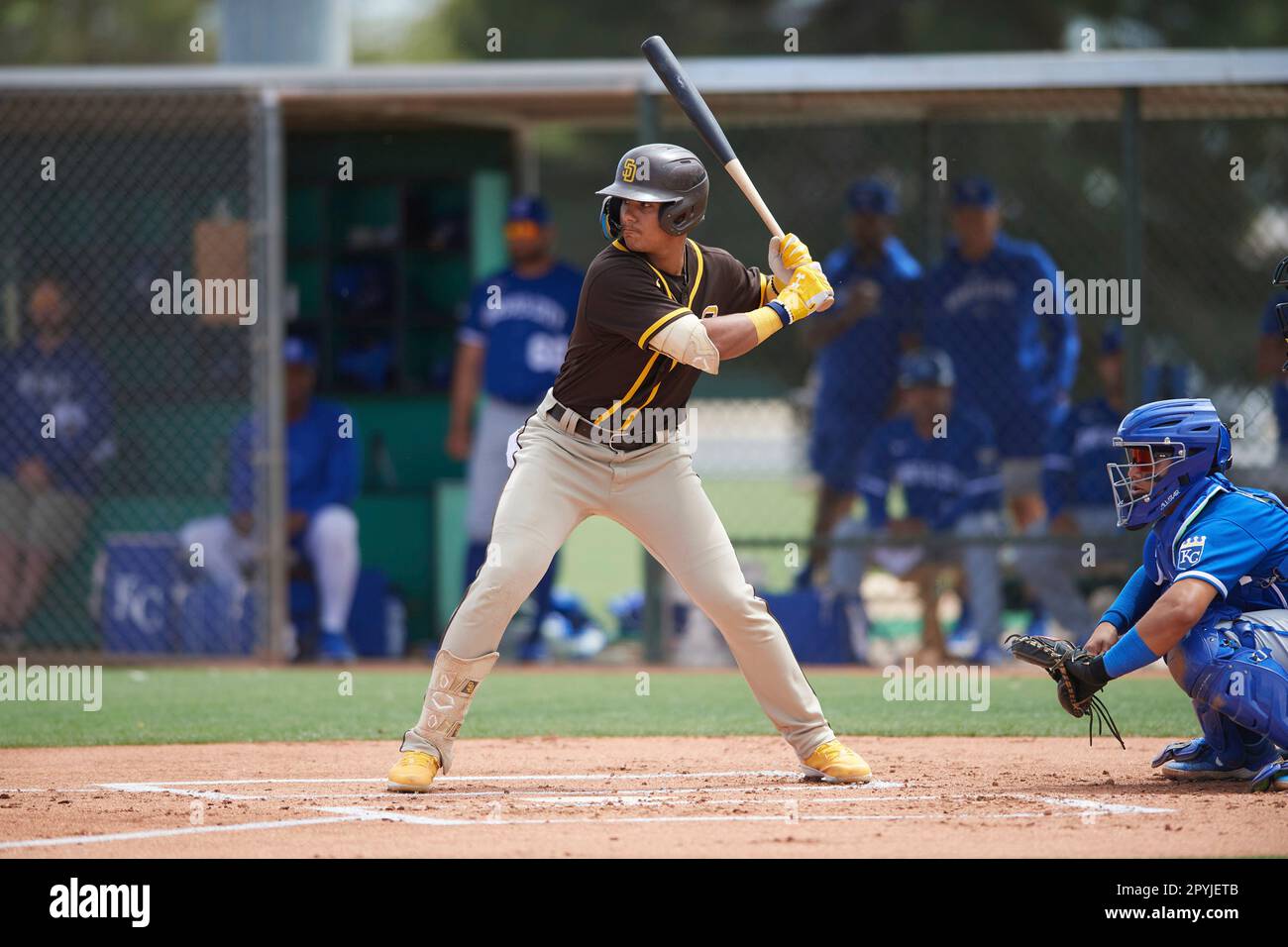 Ethan Salas (44) of the San Diego Padres during an Extended Spring ...