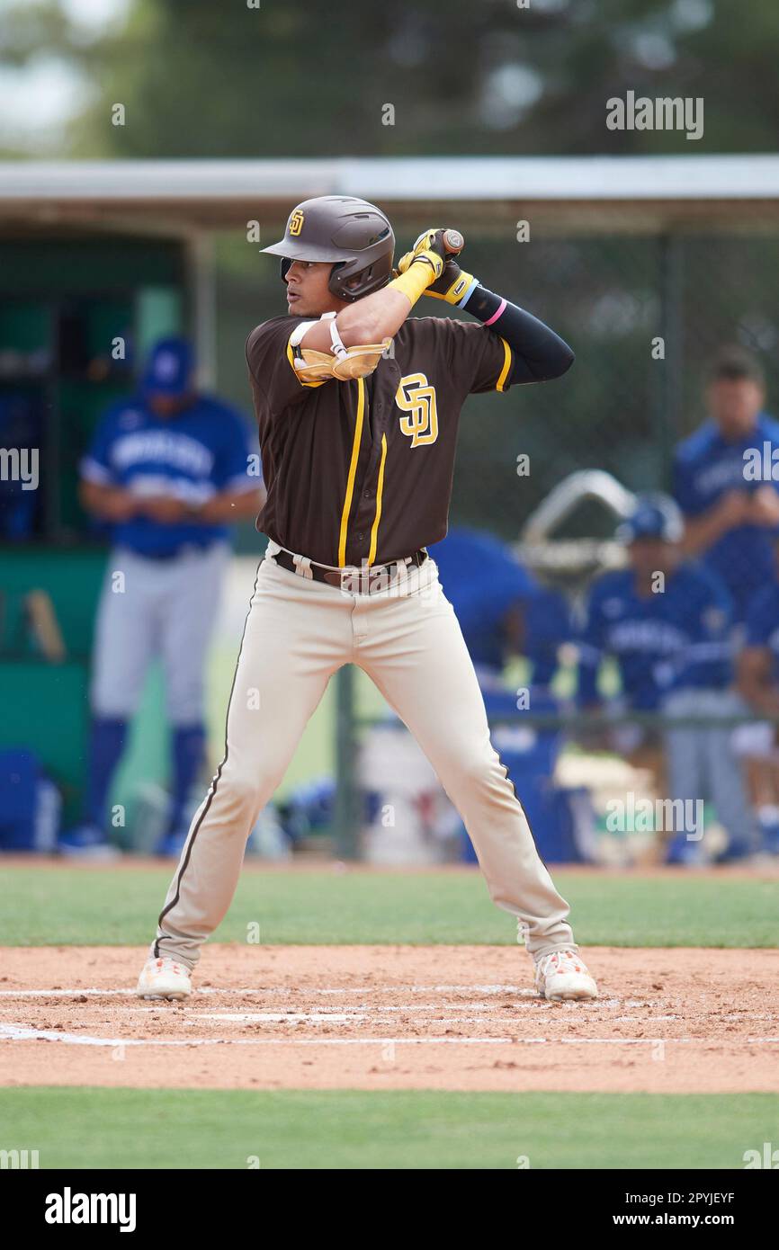 Daniel Montesino (26) of the San Diego Padres during an Extended Spring ...