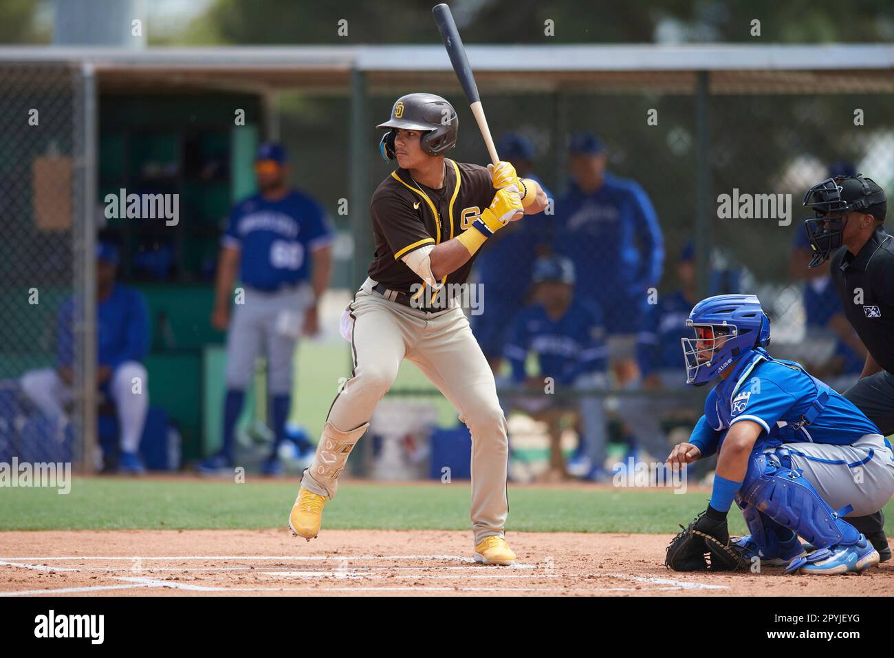 Ethan Salas (44) of the San Diego Padres during an Extended Spring ...