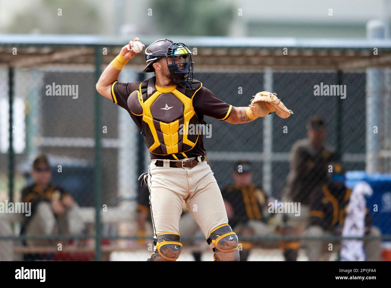 Catcher Lamar King Jr. (49) of the San Diego Padres during an Extended ...