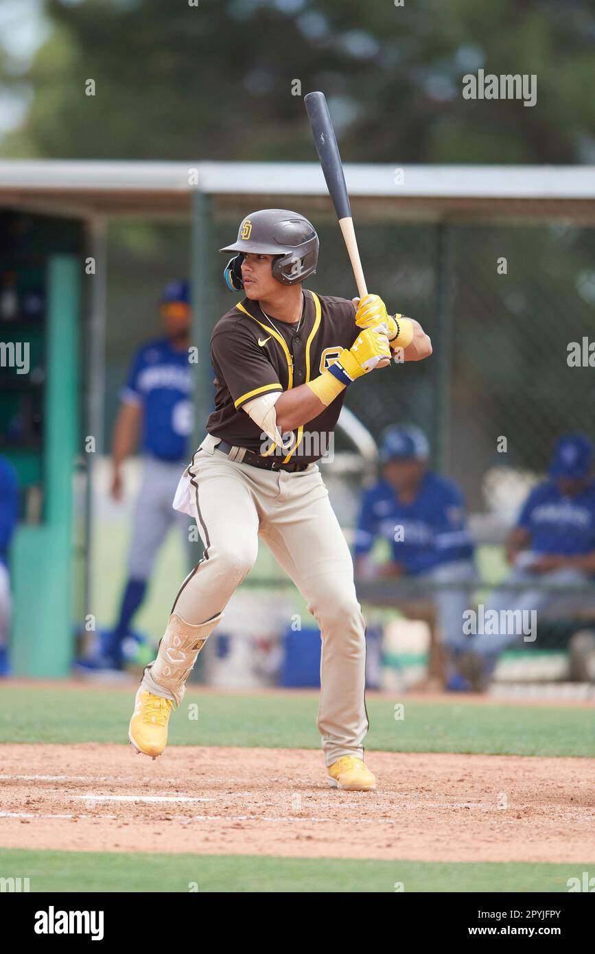 Ethan Salas (44) of the San Diego Padres during an Extended Spring ...